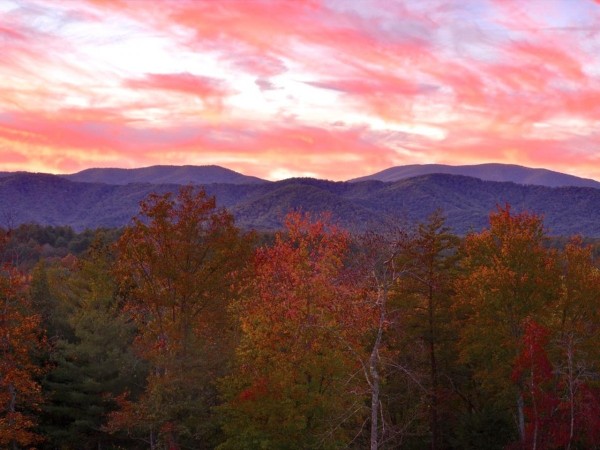 Fall Things To Do in Blue Ridge, GA | Cabin Rentals of Georgia
