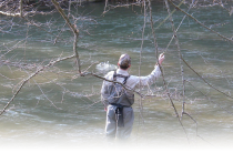 Fishing in North Georgia | Blue Ridge Mountains Fishing | Cabin Rentals ...