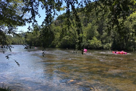 Top 20 Activities for Blue Ridge, GA | Cabin Rentals of Georgia