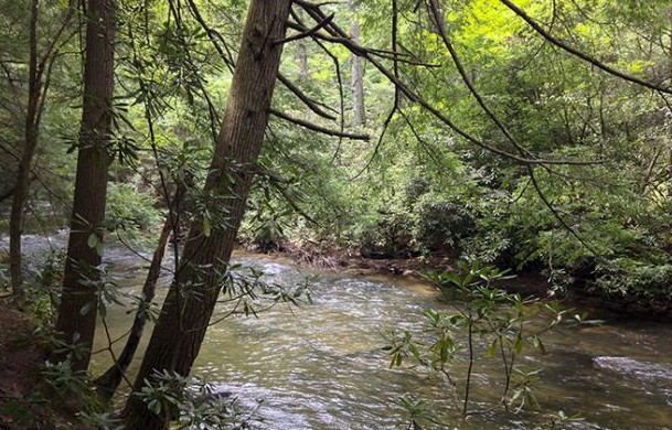 Blue Ridge, GA Cabin Rentals | Cabin Rentals of North Georgia